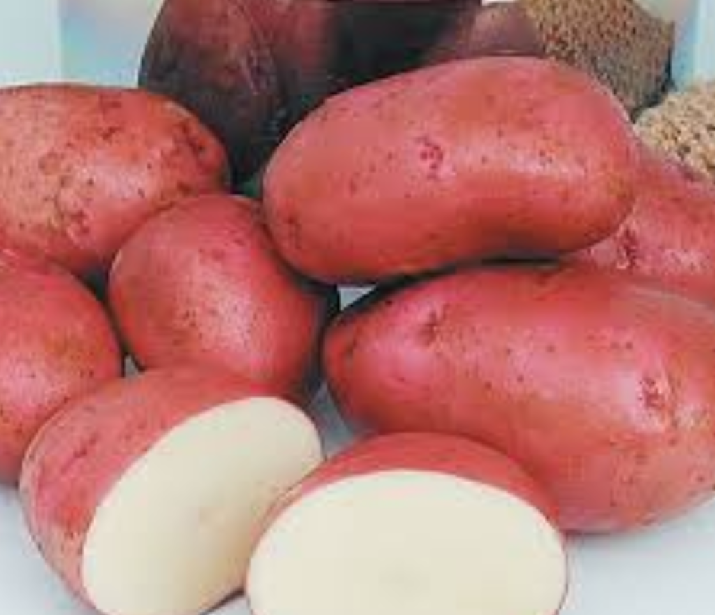 New Potatoes, Red Type – 2 lbs. – Click Fork