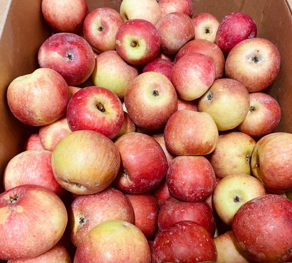 Organic Freedom Apples – Click Fork