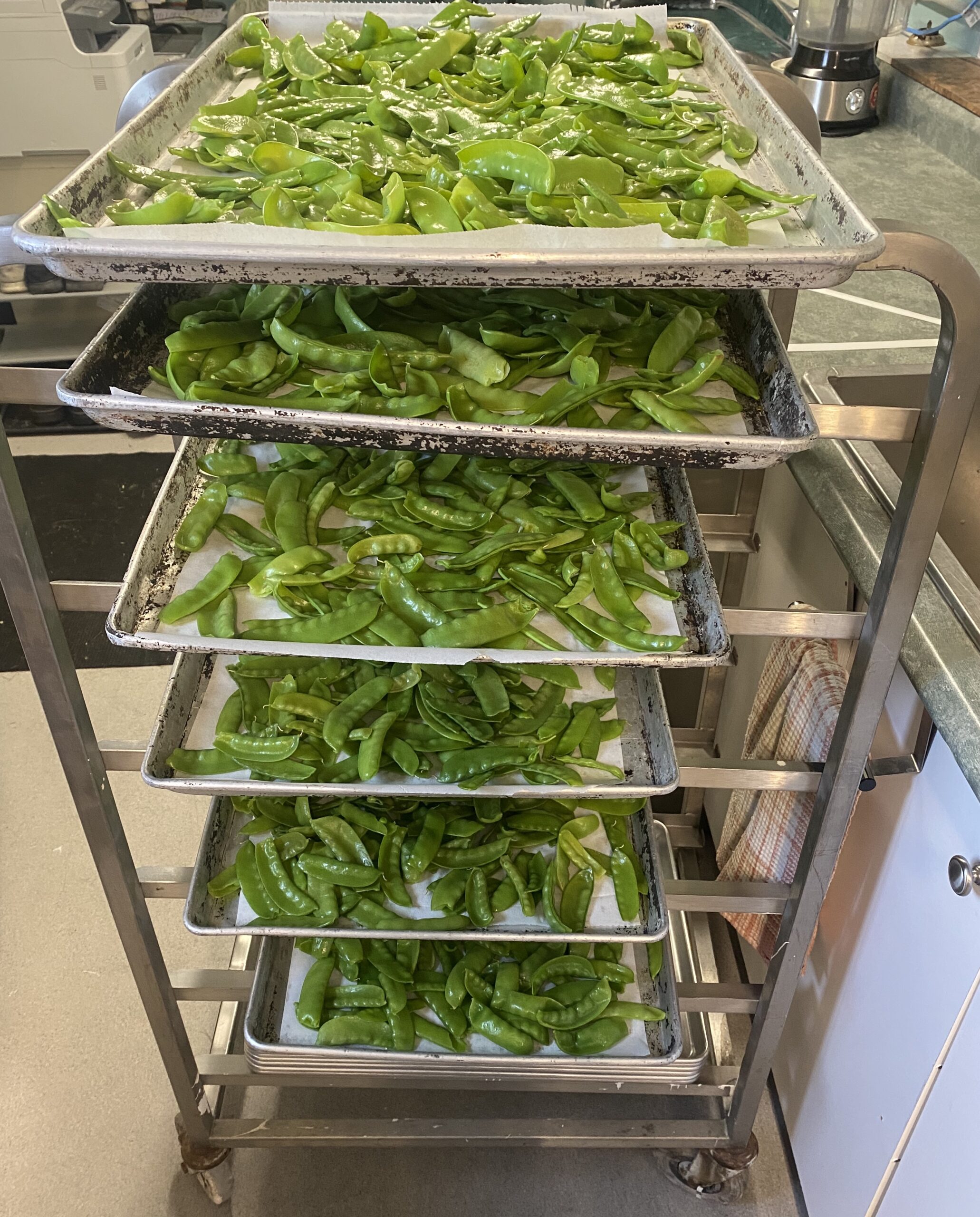 Field Good Farms Frozen Peas – Click Fork