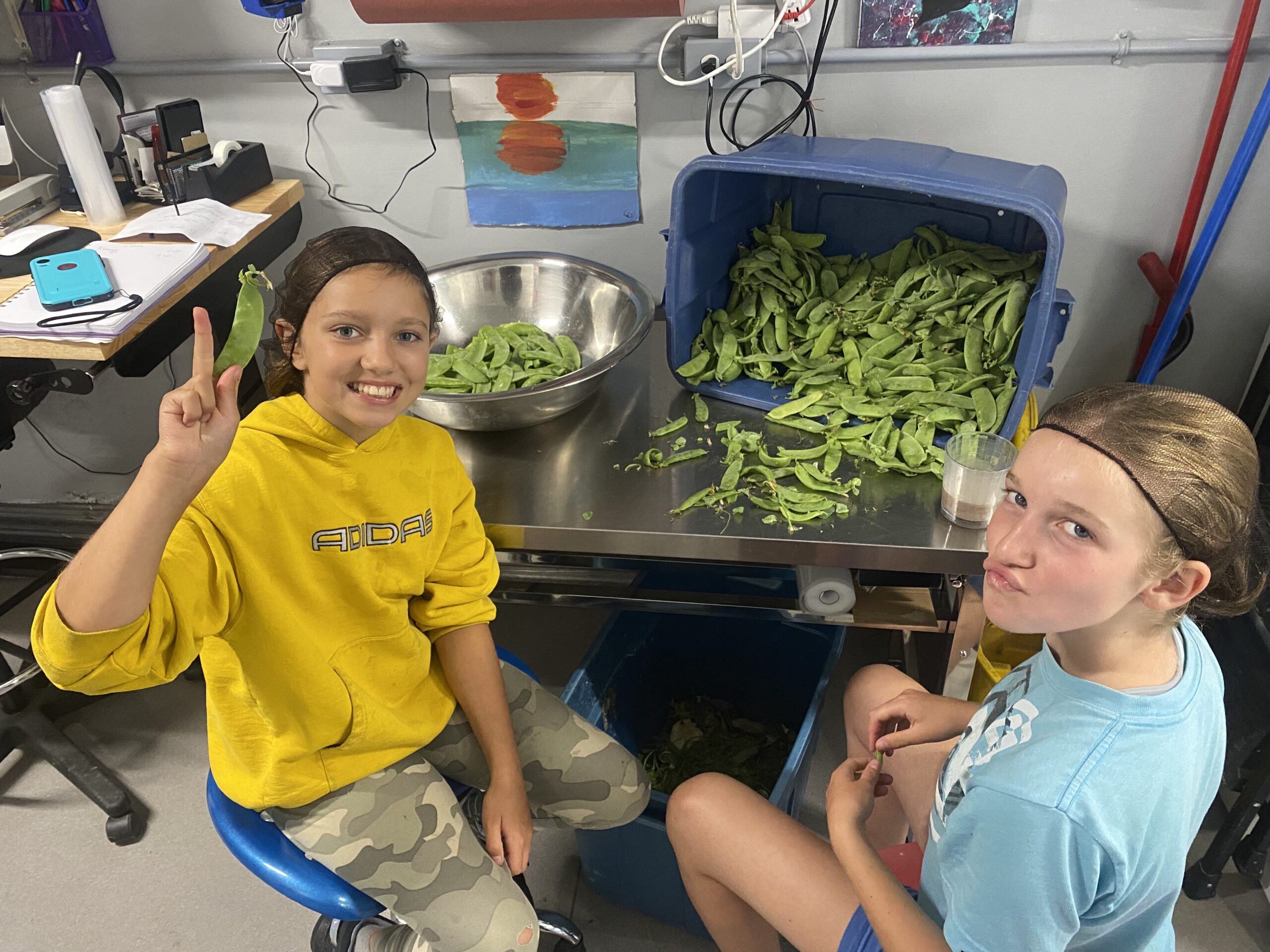 Field Good Farms Frozen Peas – Click Fork