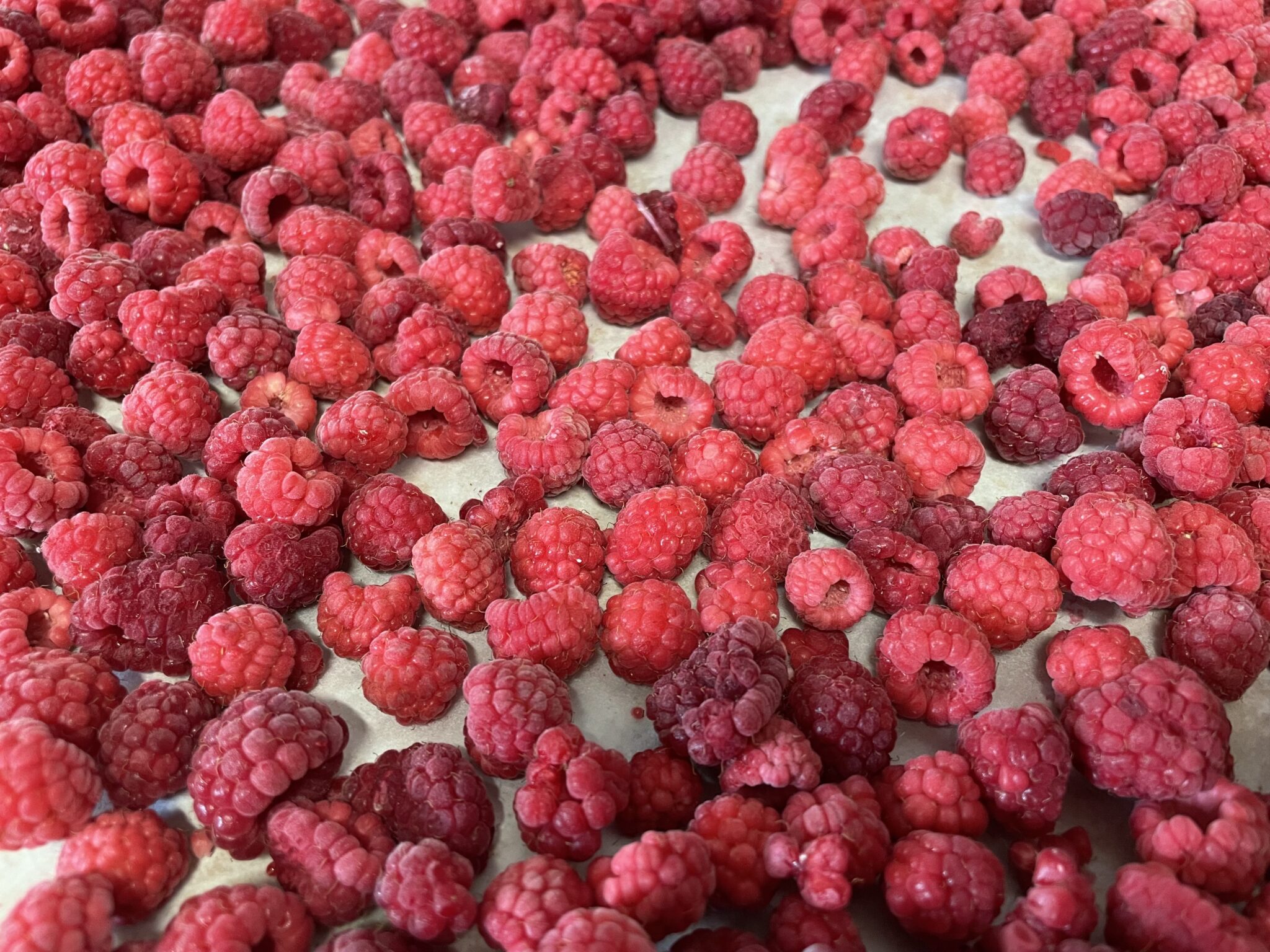 Field Good Farms Frozen Raspberries – Click Fork